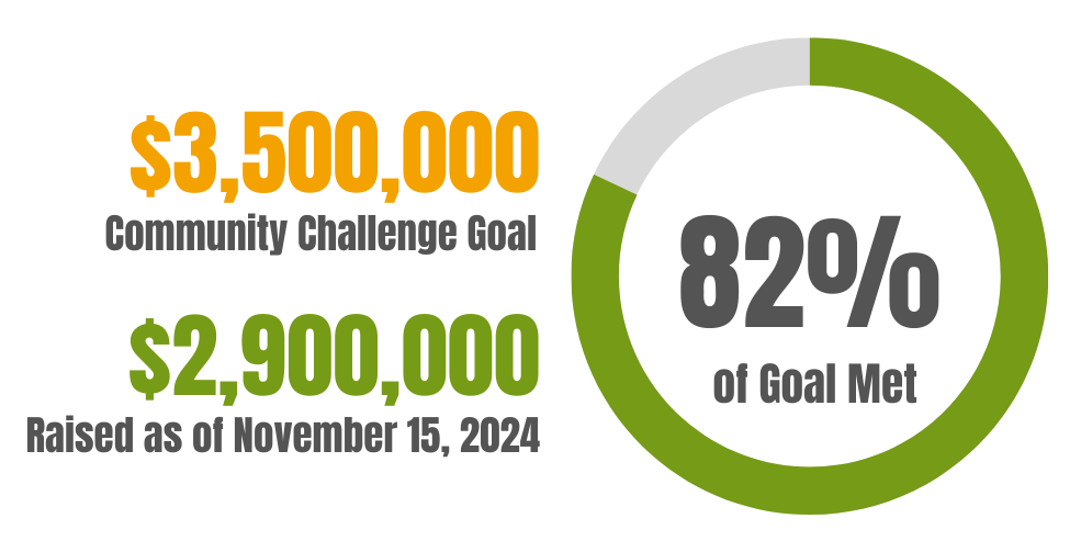 Community Challenge: Building Resources to Strengthen Cape Cod - Cape ...