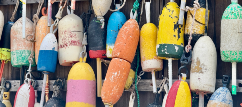 News & Events - Cape Cod Foundation