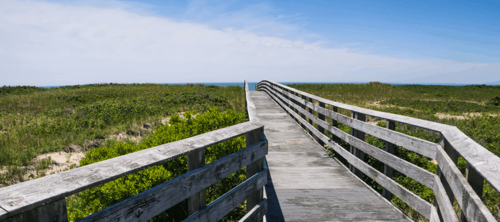 Impact: Our Work & Impact - Cape Cod Foundation